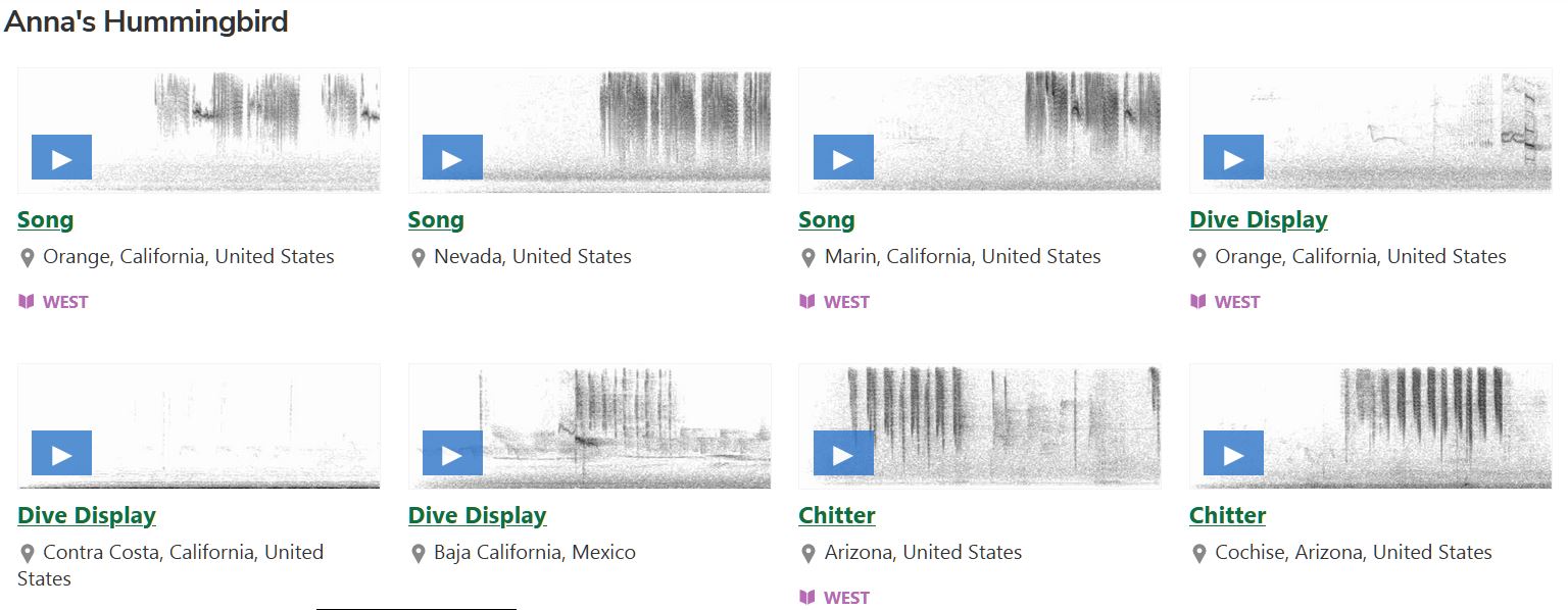 Peterson Field Guide to Bird Sounds of North America | SANTA MONICA BAY ...
