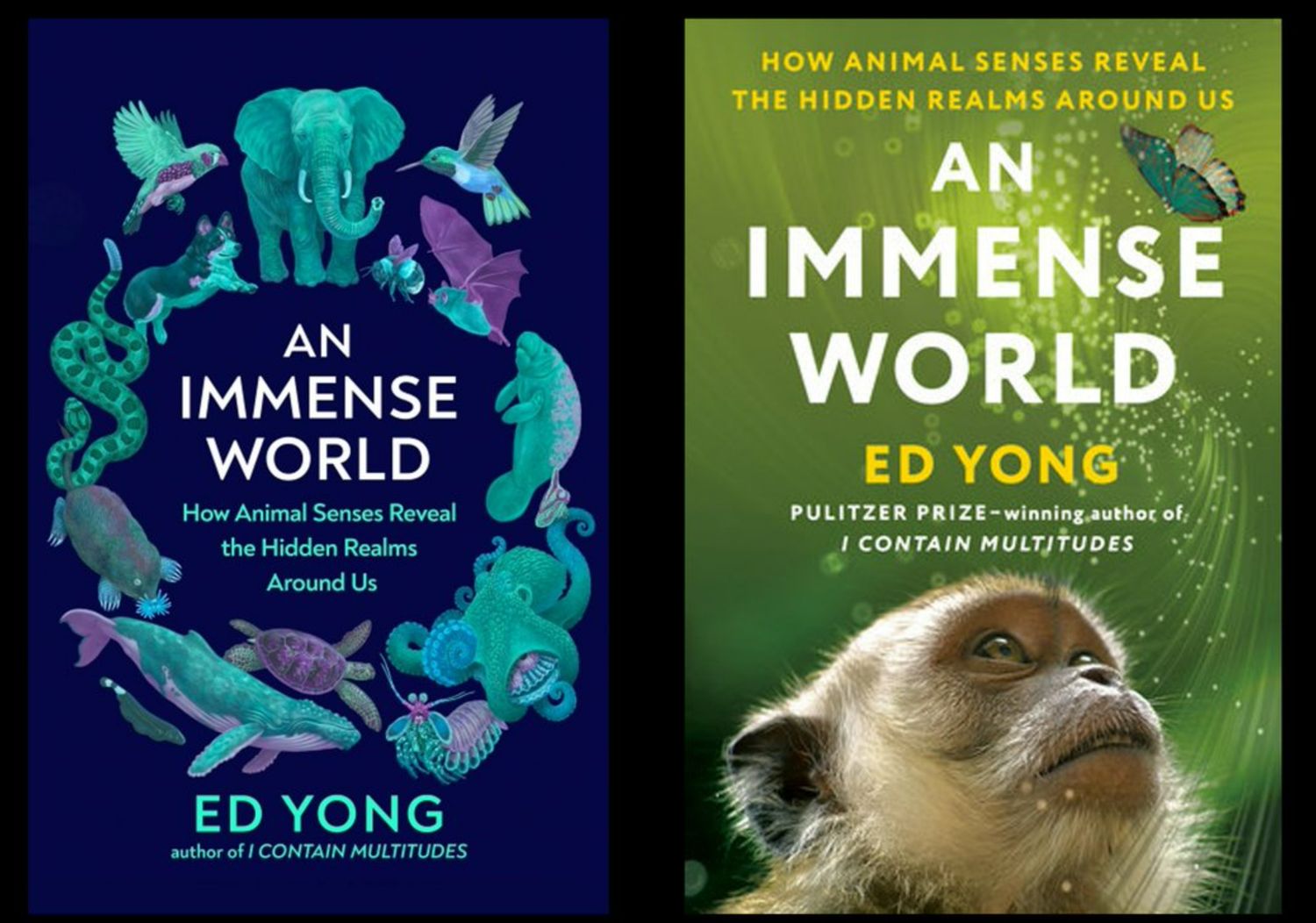 An Immense World | Book Review | SANTA MONICA BAY AUDUBON SOCIETY BLOG