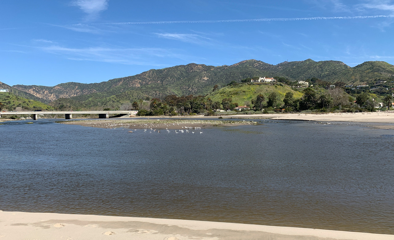 Three of a Kind?: Malibu Lagoon, 26 March 2023 | SANTA MONICA BAY ...