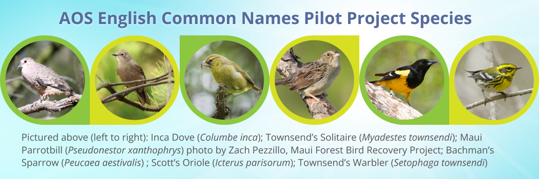 The Controversy over Changing Eponymous Bird Names — Documents | SANTA ...